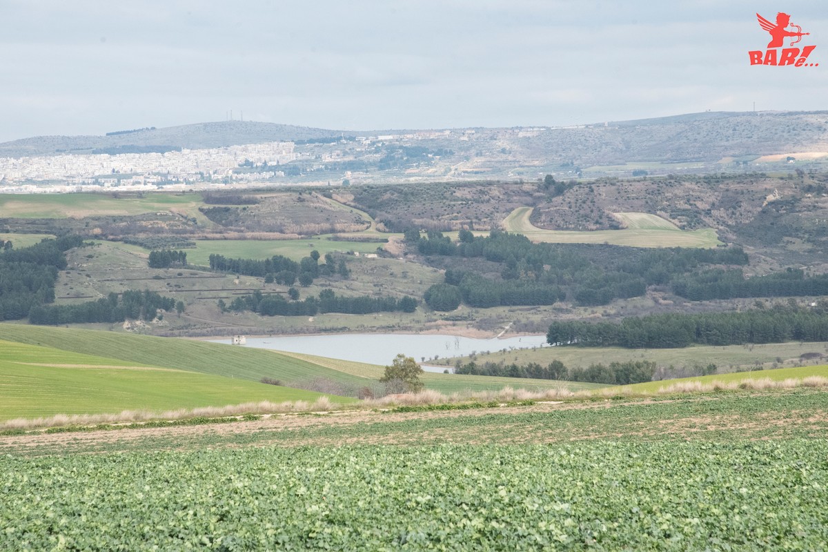 Una delle meraviglie della Puglia ancora tutta da scoprire: lago Locone ...