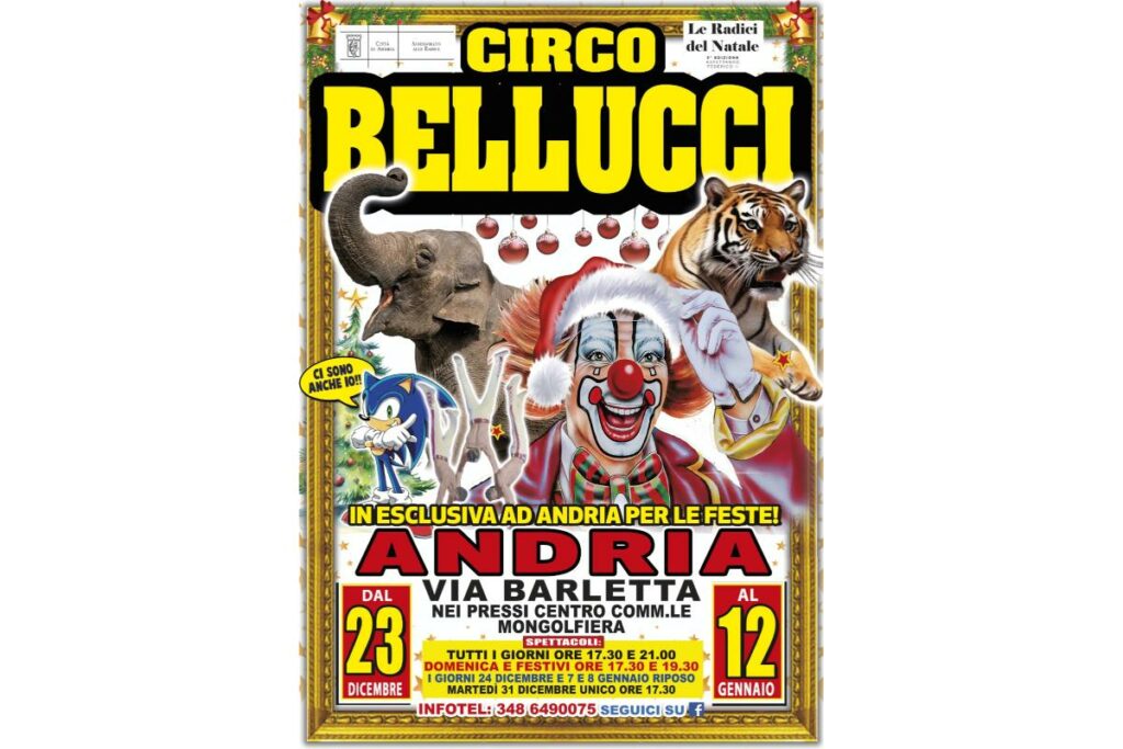 Circo Bellucci ad Andria: anno nuovo tendone nuovo - Giornale online